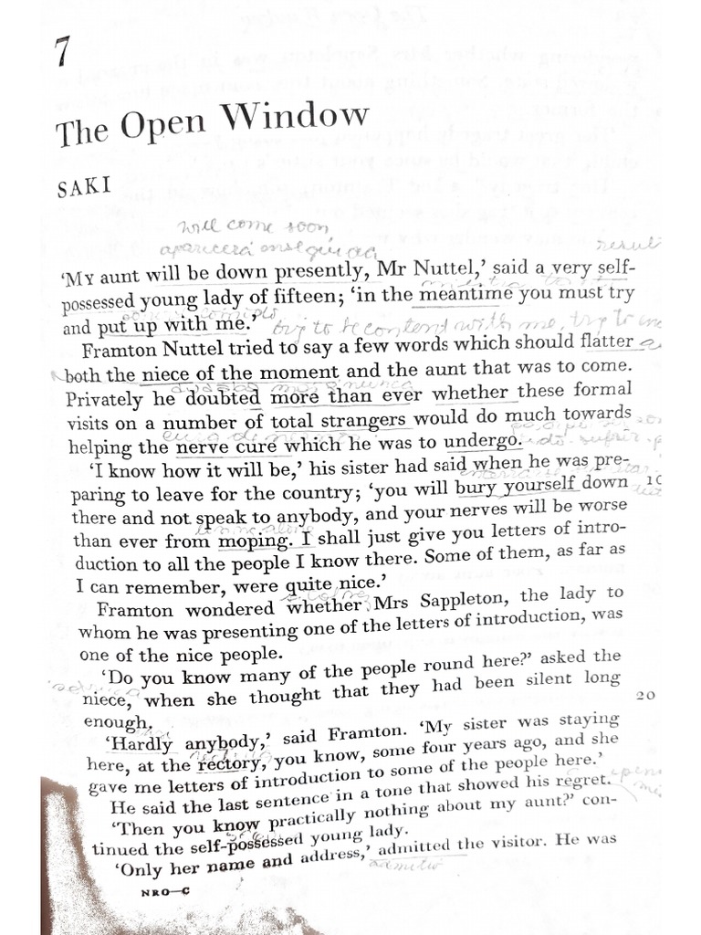 The Open Window Pdf