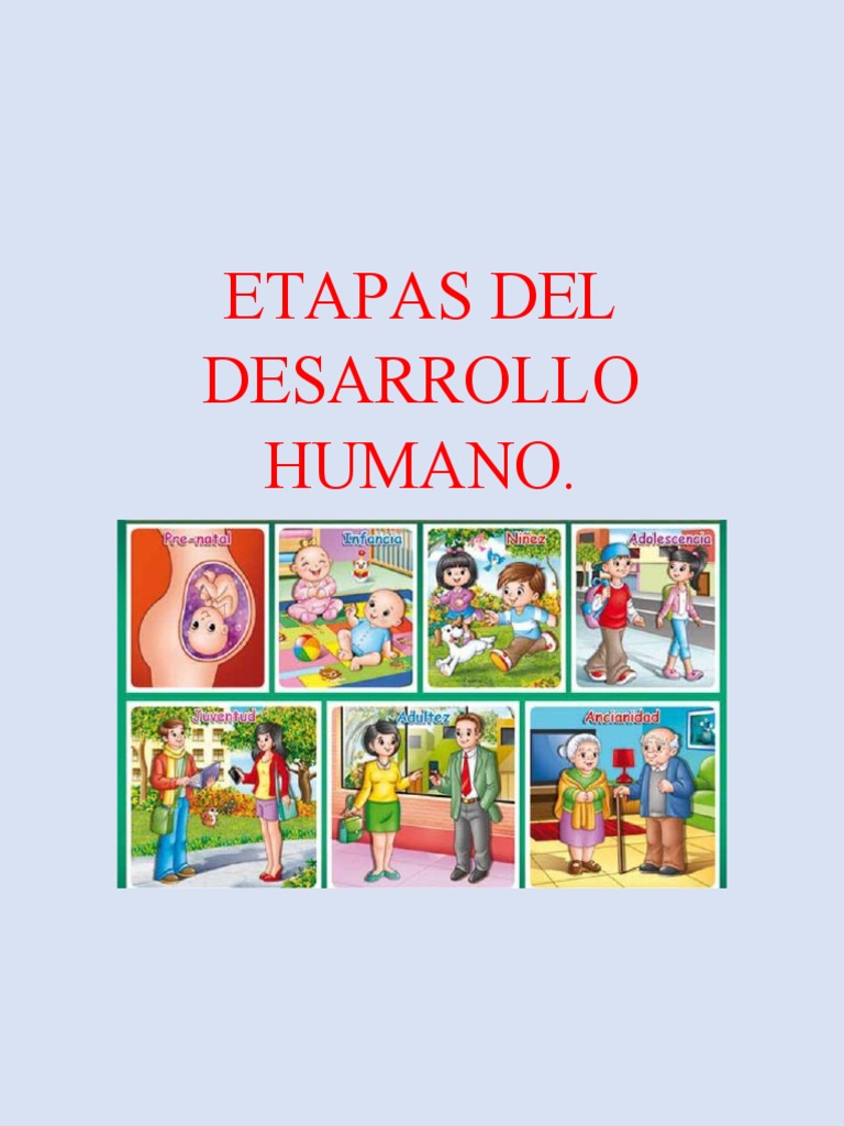 ETAPAS DEL DESARROLLO HUMANO | PDF | Adultos | Vejez
