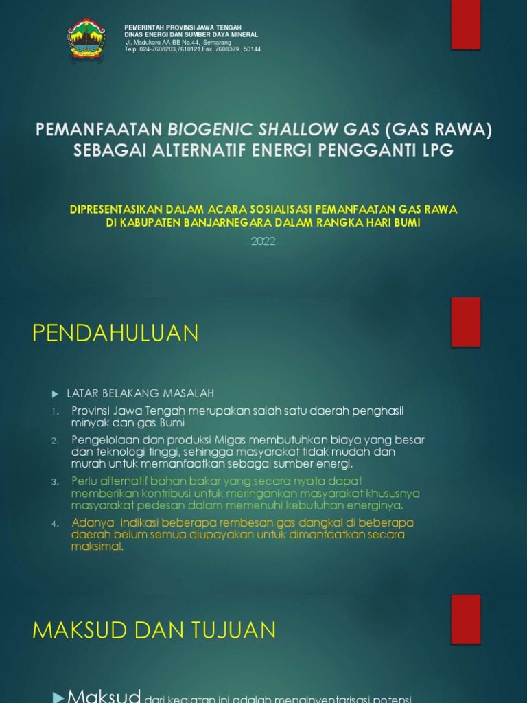 Pemanfaatan Gas Rawa sebagai Energi Alternatif | PDF
