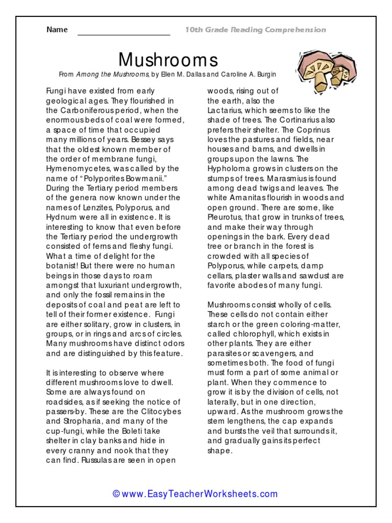 Mushroom Story | PDF | Trees | Mushroom