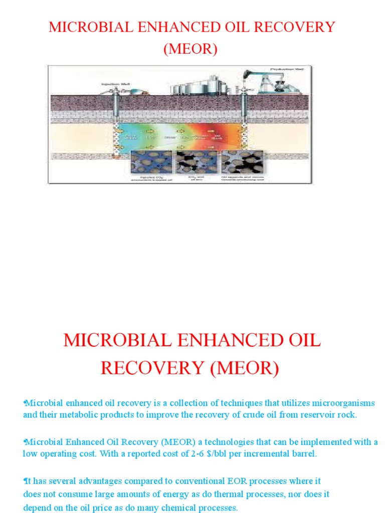 Microbial Enhanced Oil Recovery (MEOR) | PDF | Enhanced Oil Recovery | Bacteria