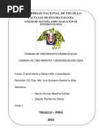 Teoría de La Matriz Funcional de Melvin Moss | PDF | Cráneo | Epigenética