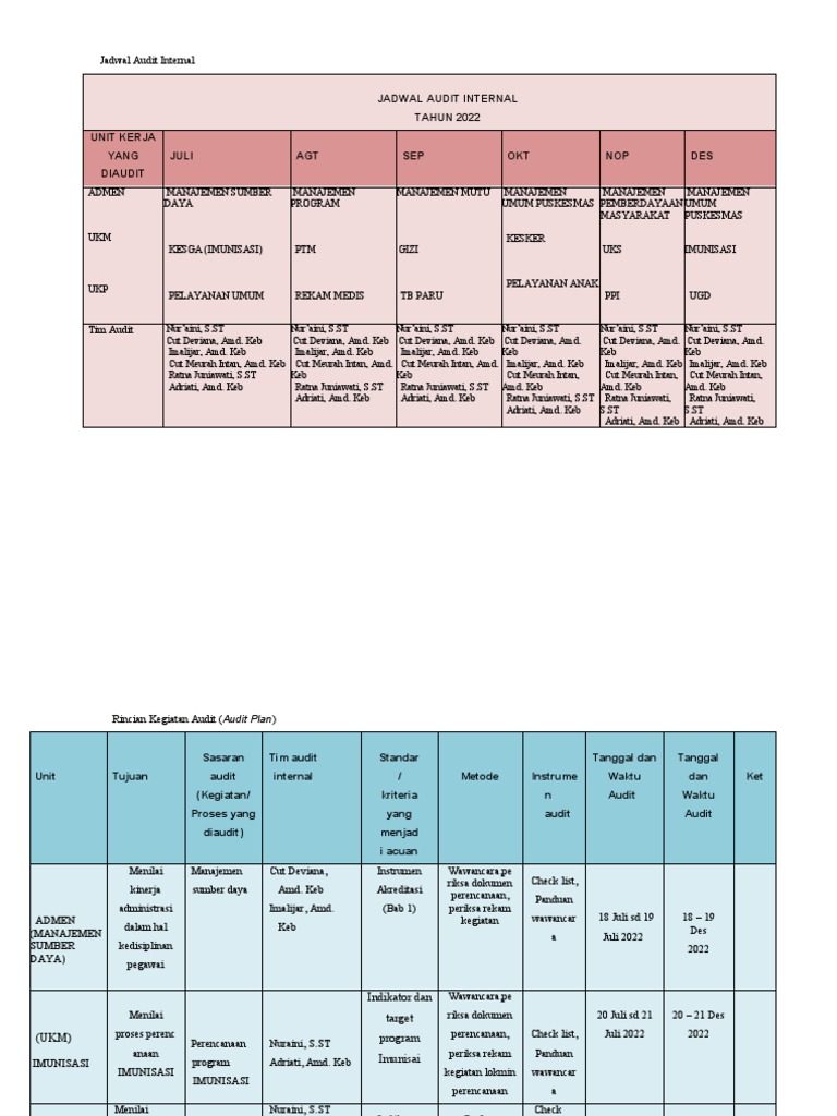 Audit Plan PKBR | PDF