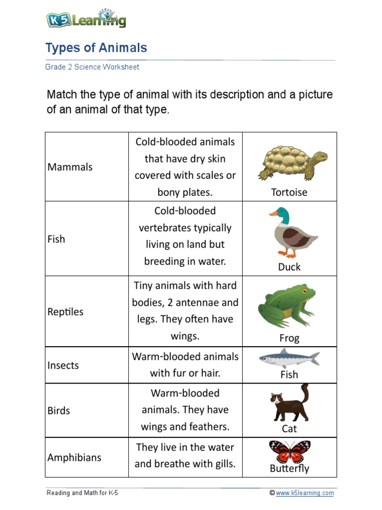 Types of Animals: Grade 2 Science Worksheet | PDF