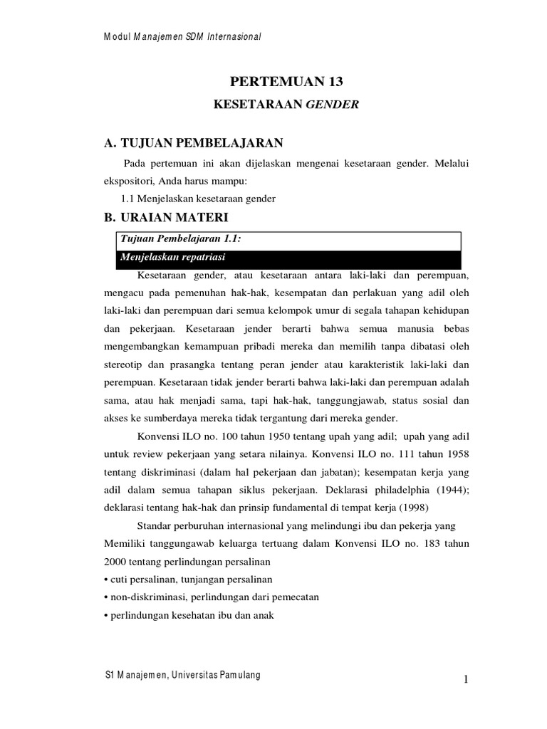 Pertemuan 13 Manajemen SDM Internasional | PDF