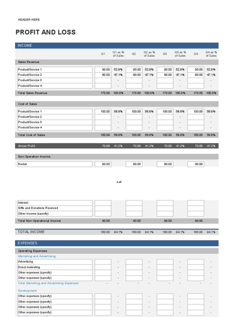 Profit and Loss Statement Overview | PDF | Dividend | Taxes