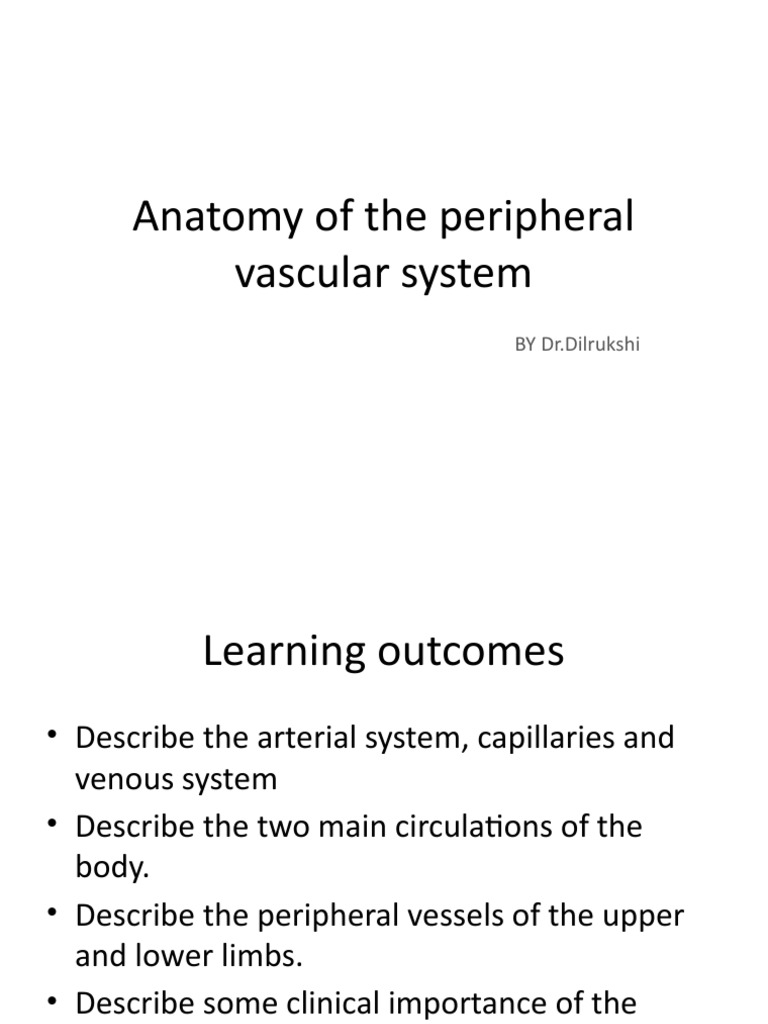 Anatomy of The Peripheral Vascular System-FHH | PDF | Artery ...