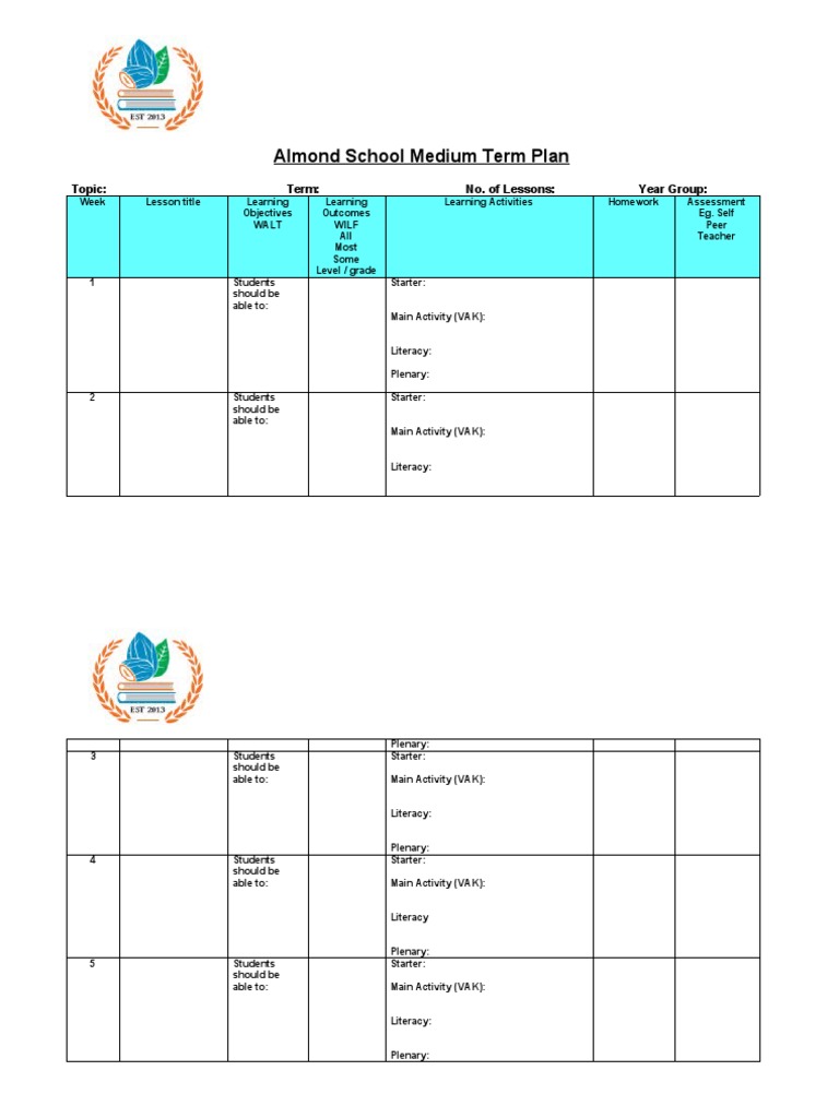 Plain Medium Term Plan | PDF | Literacy | Educational Technology