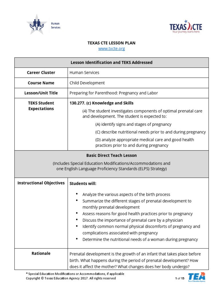 Lesson Plan Preparing For Parenthood Pregnancy and Labor - 0 | PDF ...