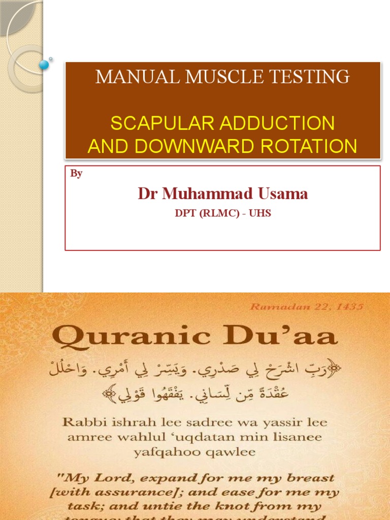 Mmt Scapular Adduction And Downward Rotation By Dr M Usama Pdf Shoulder Soft Tissue
