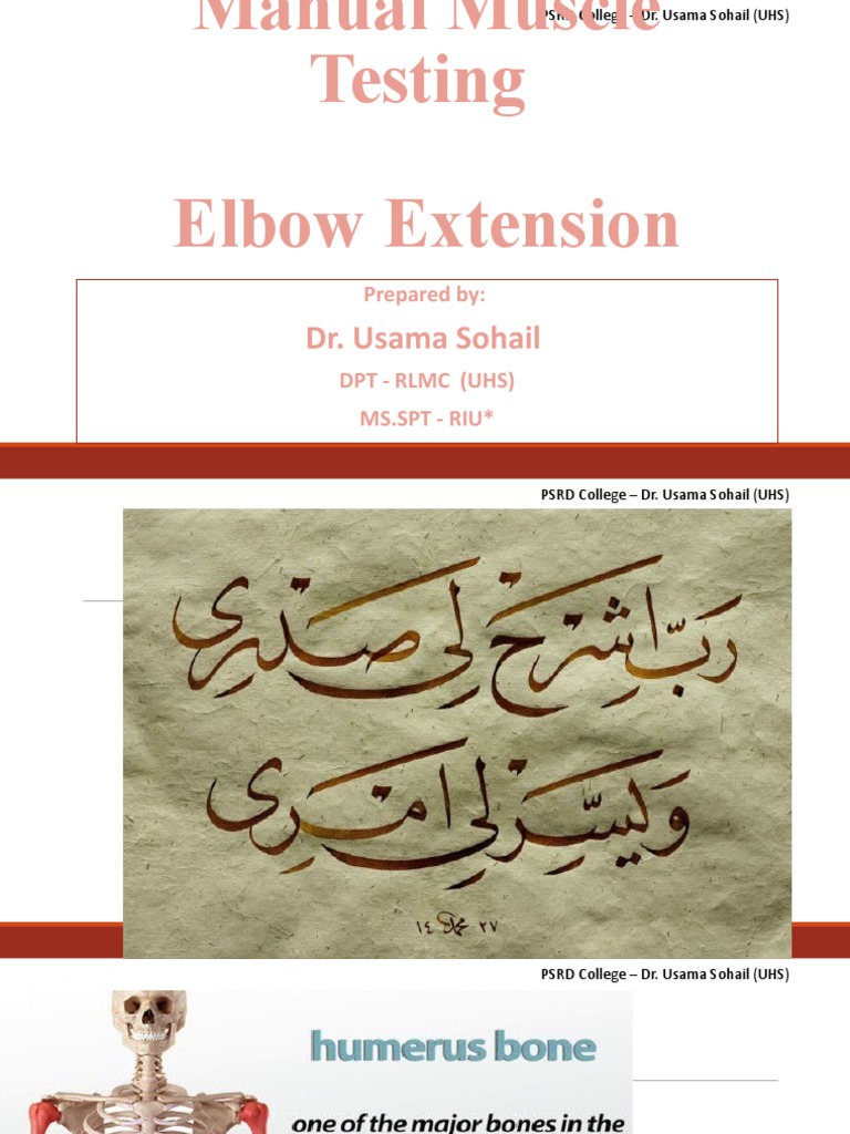 MMT Elbow Extension by Sir DR Usama | PDF | Elbow | Anatomical Terms Of ...