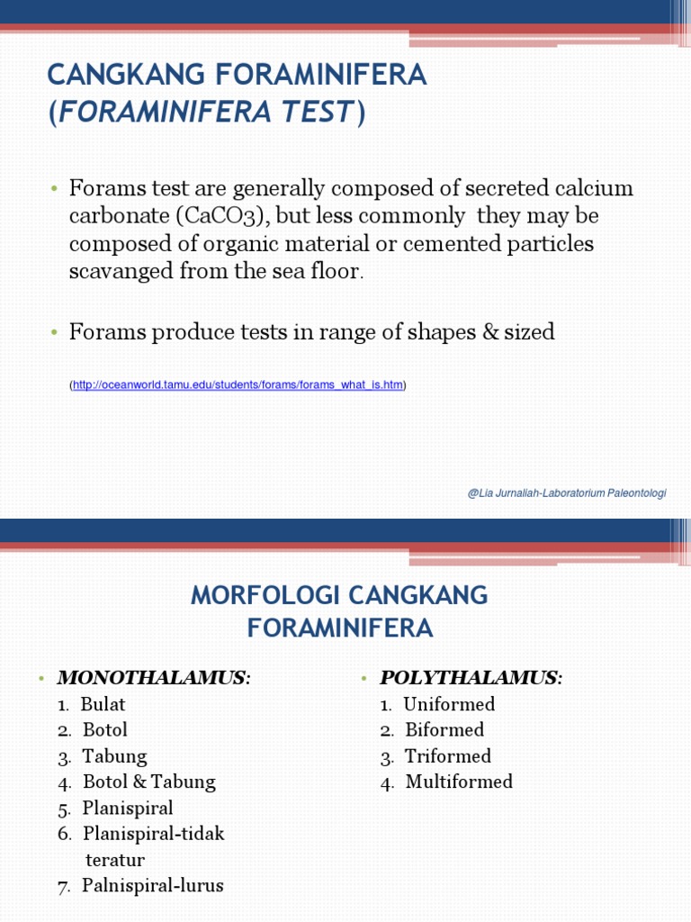 Foram test morph | PDF
