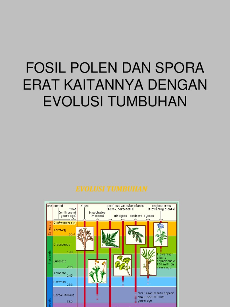 Morfologi dan Evolusi Polen Tumbuhan | PDF | Kajian Bahasa Asing ...