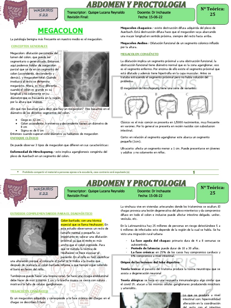 Tipos y Diagnóstico del Megacolon | PDF | Intestino grueso | Estreñimiento