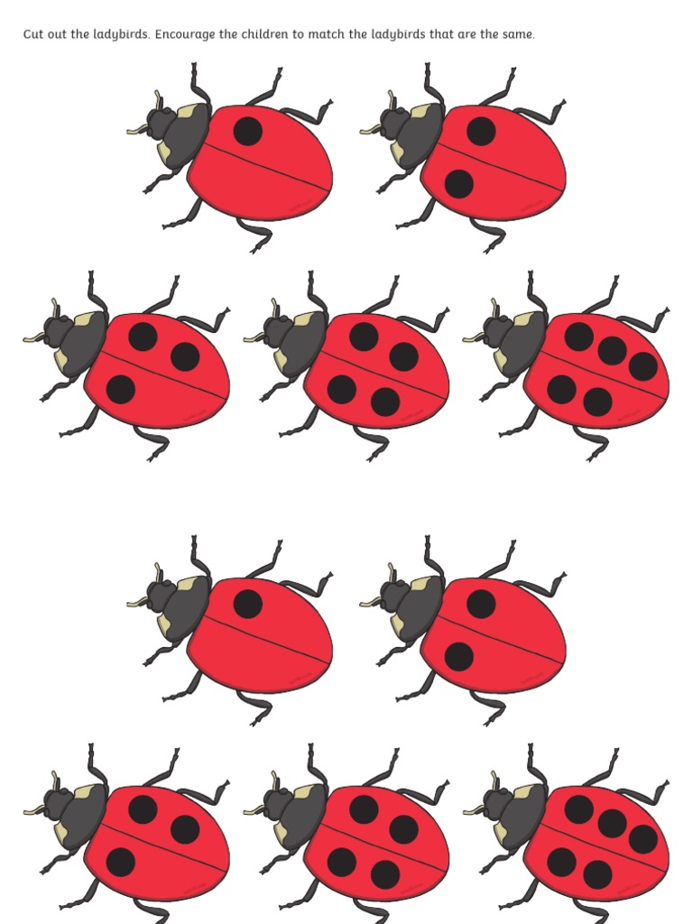 T M 32872 Ladybirds Spots Matching Activity - Ver - 1 | PDF