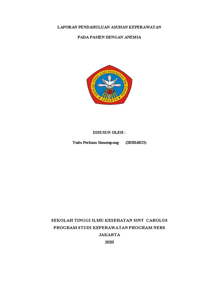 LP Anemia | PDF