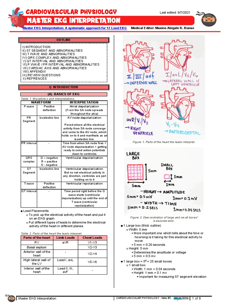 007 - Cardiovascular Physiology) MASTER ECG | PDF | Electrocardiography ...