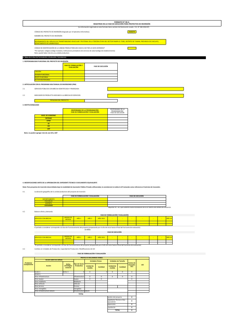 Formato 8A: Proyectos de Inversión | PDF | Infraestructura | Economias