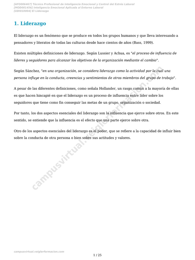 El Liderazgo | PDF | Liderazgo | Liderazgo