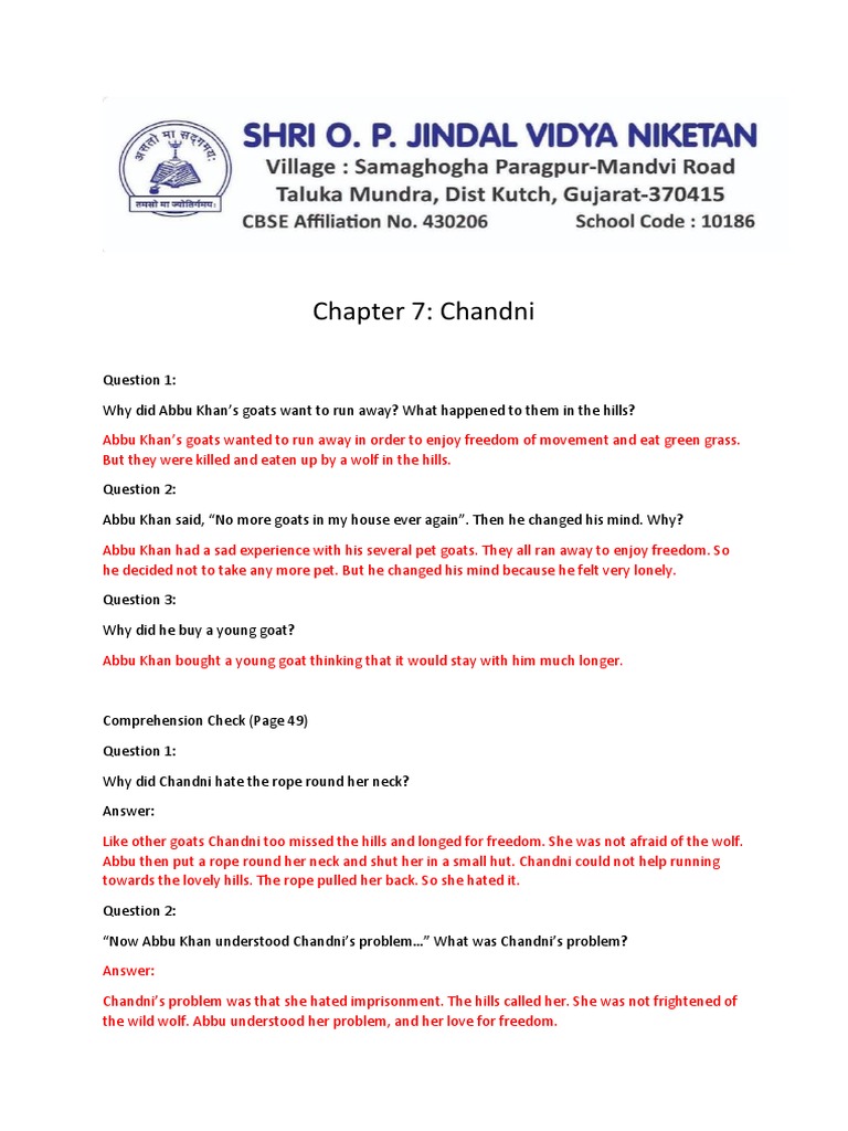 Chapter 7: Chandni | PDF