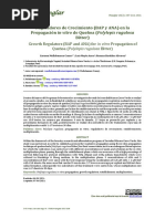Protocolo de Sincronizacion. Ovsynch | PDF | Vacas | Reproducción humana