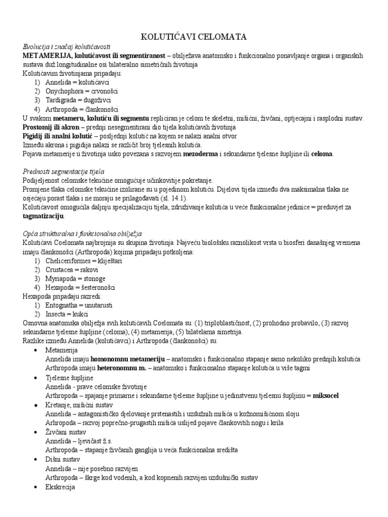 Skripta - 2.dio | PDF