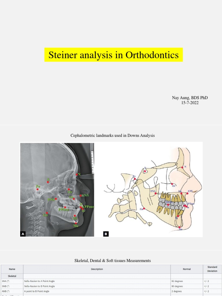 Steiner Analysis in Orthodontics (Nay Aung, PHD) | PDF