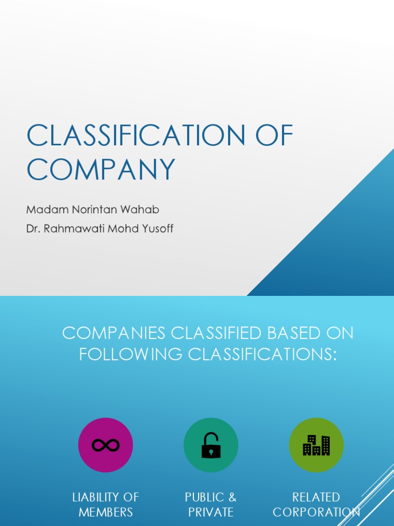 Chapter 2 Classification of Company | PDF | Companies | Guarantee