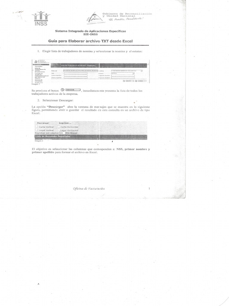 Guia para Elaborar Archivo TXT Desde Excel Sie Nicaragua | PDF