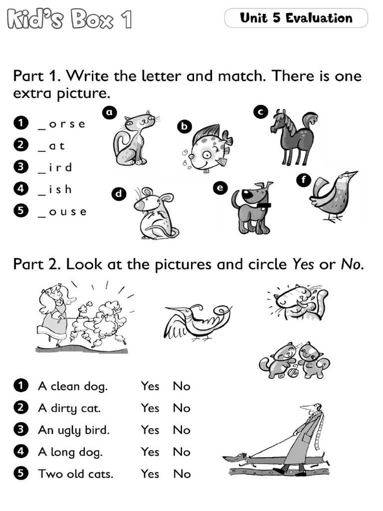 Kid's Box 1 Evaluation Units 5 - 8 (Copie 2) | PDF