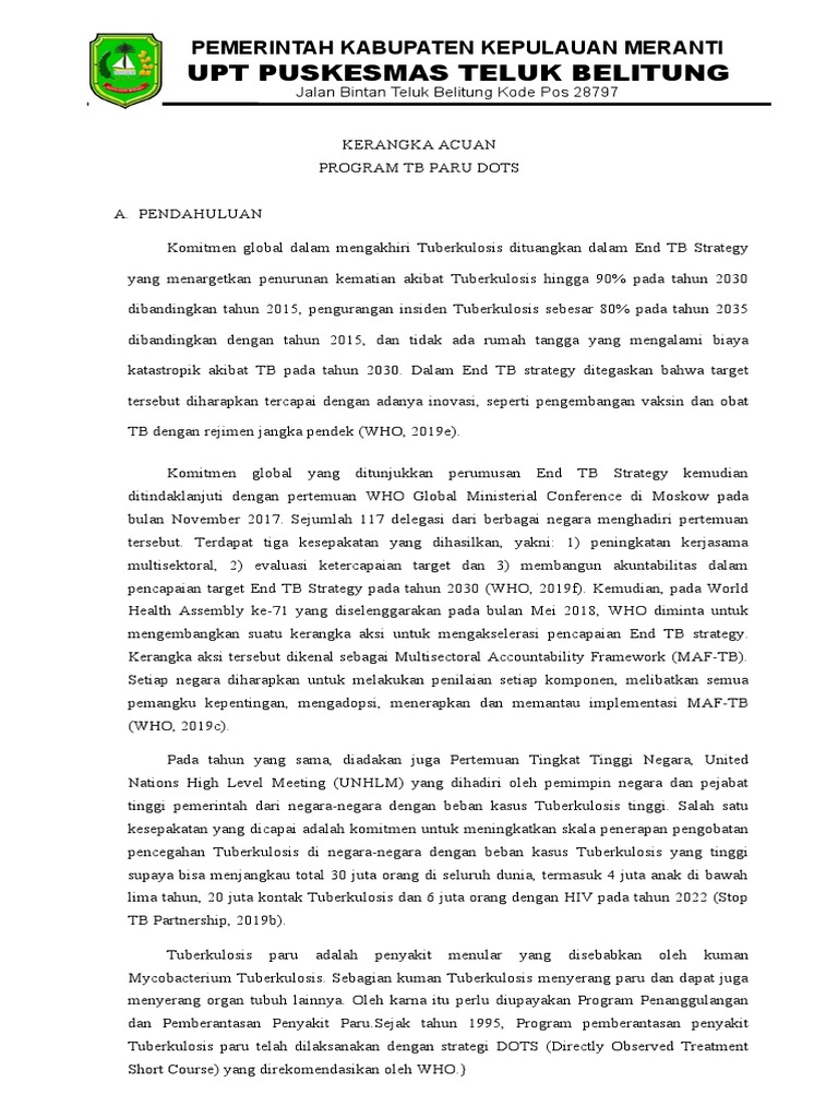 Kak Program TB Dots | PDF