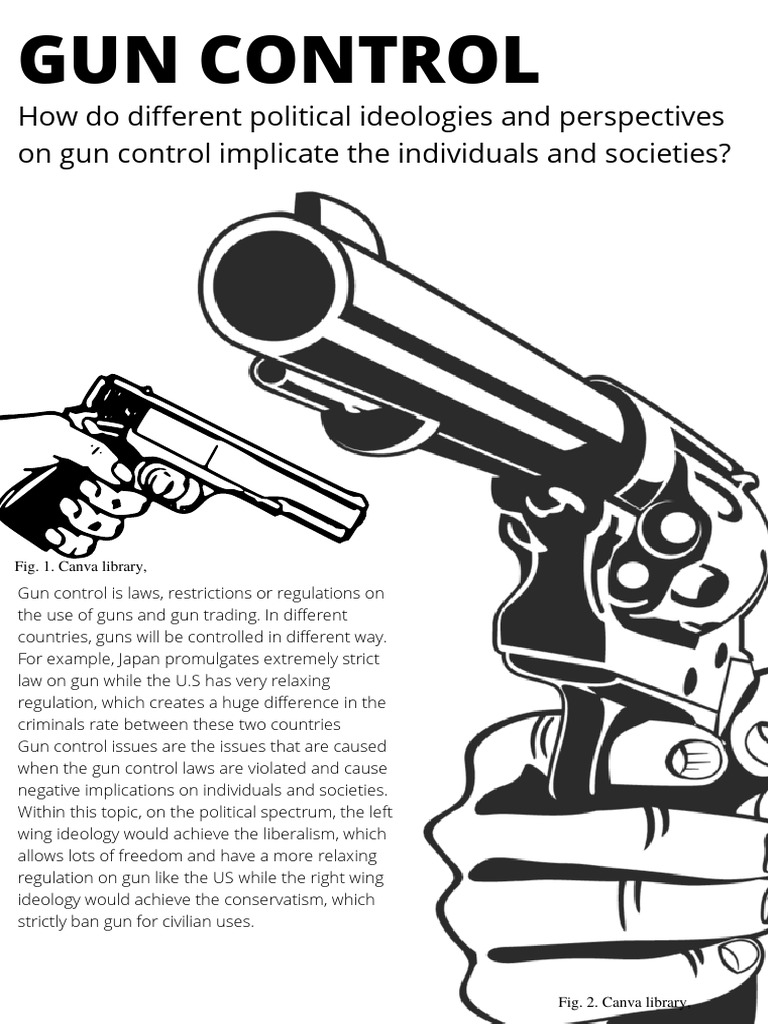 How Do Different Political Ideologies and Perspectives On Gun Control ...