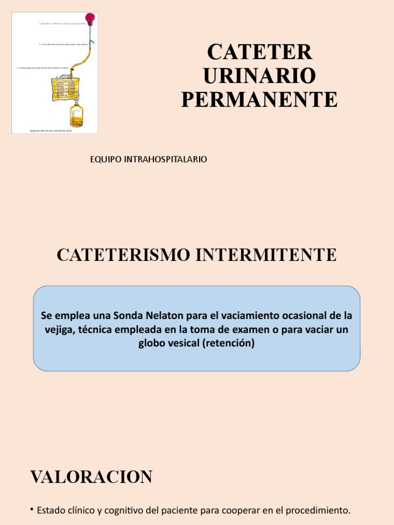 Cup y Cateterismo Intermitente | PDF | Vejiga urinaria | Sistema urinario