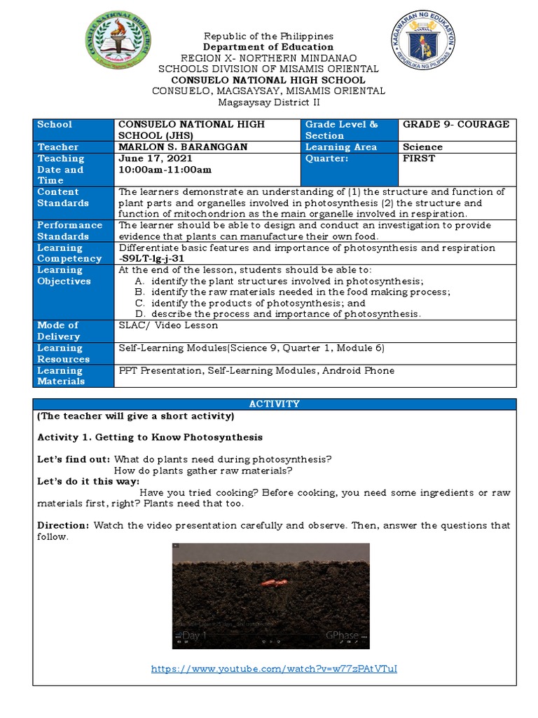 Cot-1 Lesson Plan (Grade 9) | PDF | Chloroplast | Leaf