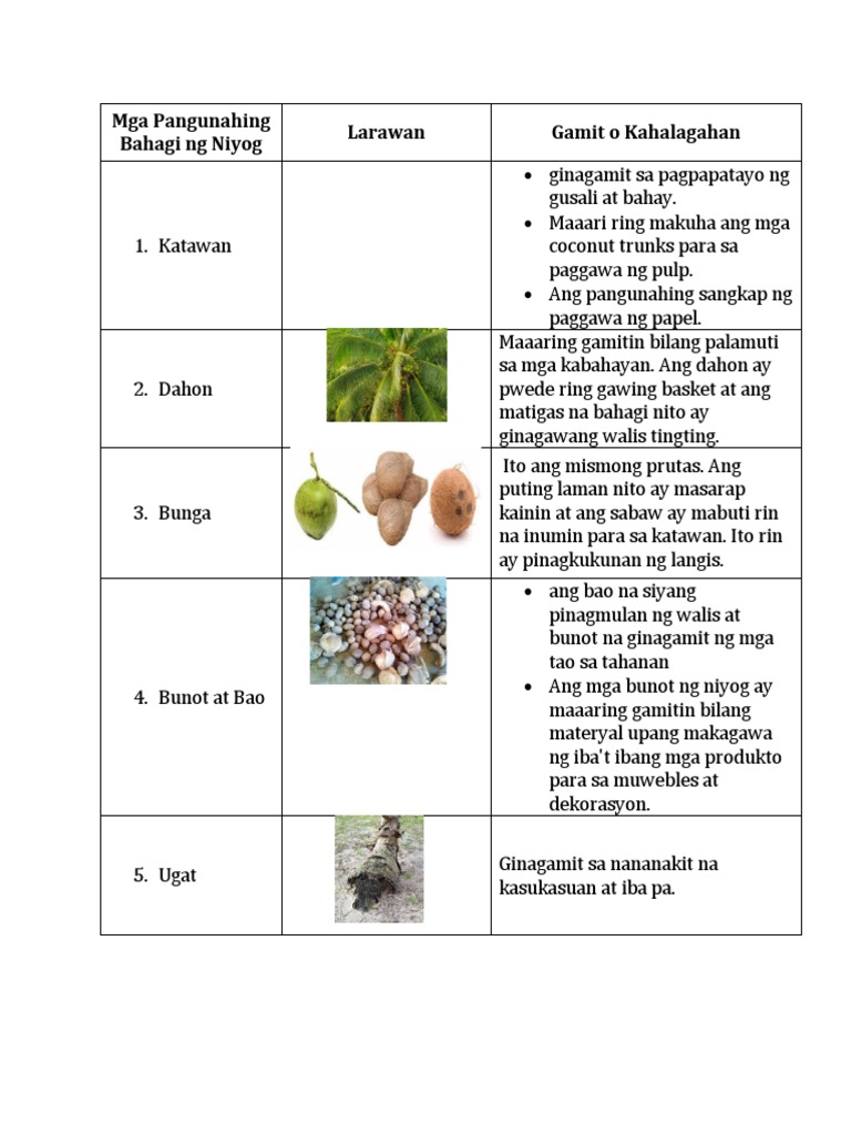 Mga Pangunahing Bahagi NG Niyog | PDF