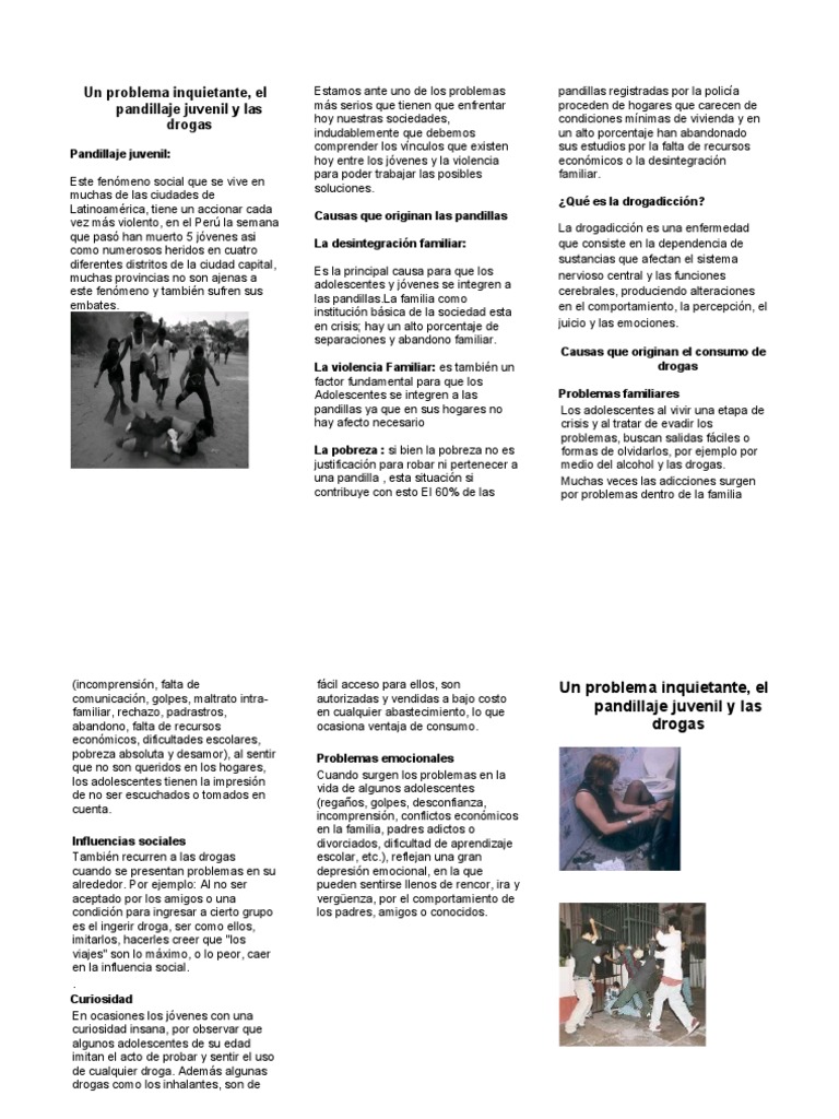 TRIPTICO Pandillaje y Drogas | PDF | La dependencia de sustancias | Juventud