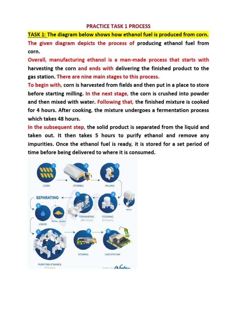 Practice Task 1 Process | PDF | Cocoa Bean | Chocolate