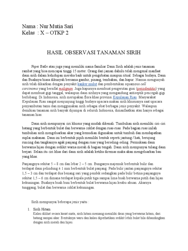 HASIL OBSERVASI TANAMAN SIRIH - Nur Mutia Sari, X OTKP 2 | PDF