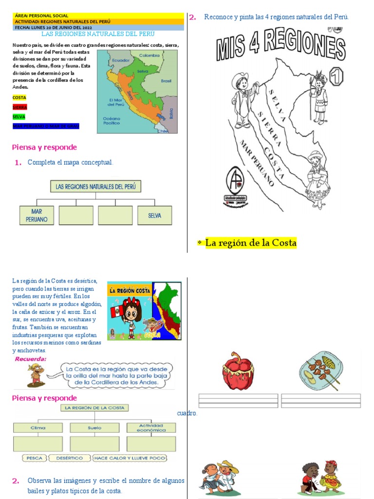 FICHA 4 - Regiones Del Peru 20 de Junio | PDF | Perú | Selva