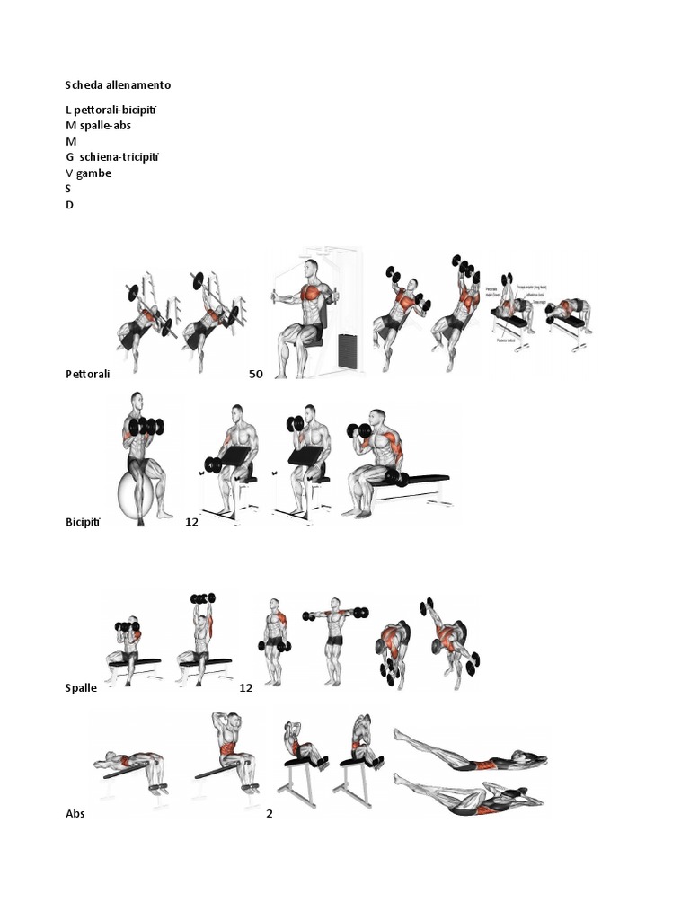 Scheda Allenamento | PDF