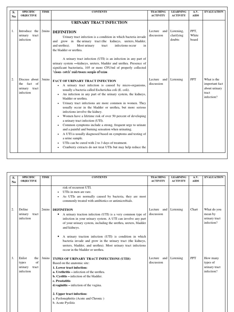 Lesson Plan UTI | PDF | Urinary Tract Infection | Urinary Bladder