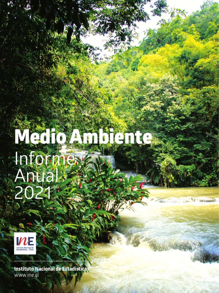 Informe Anual de Medio Ambiente 2021 (Versión Actualizada Al 06 de Abril Del 2022) | PDF ...