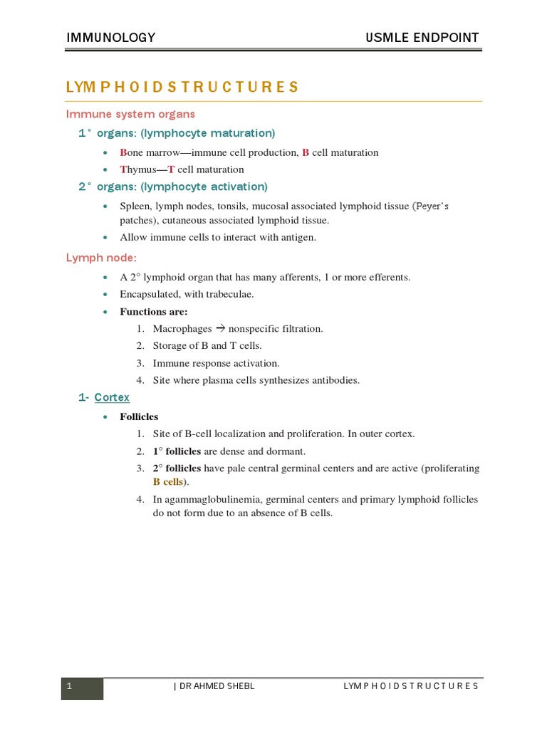 Immunology | PDF | T Cell | Lymph Node