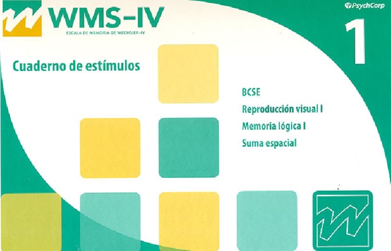 WMS | PDF