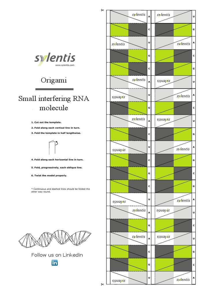 Origami Small Interfering RNA Molecule: Follow Us On Linkedin | PDF