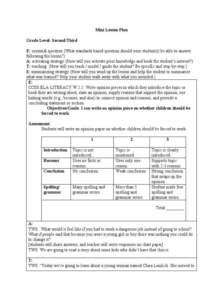 Social Justice Mini Lesson 2 | PDF | Reason | Lesson Plan