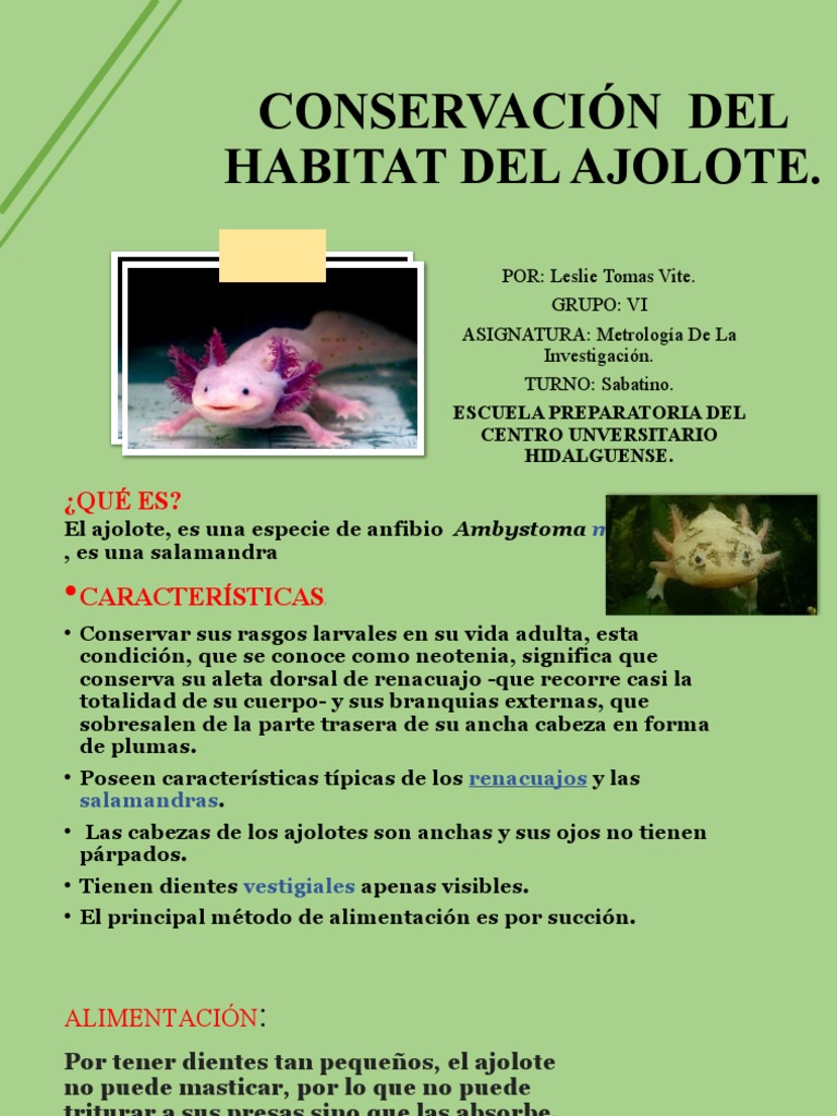 Conservavión Del Cuidado Del Ajolote | PDF | Organismos