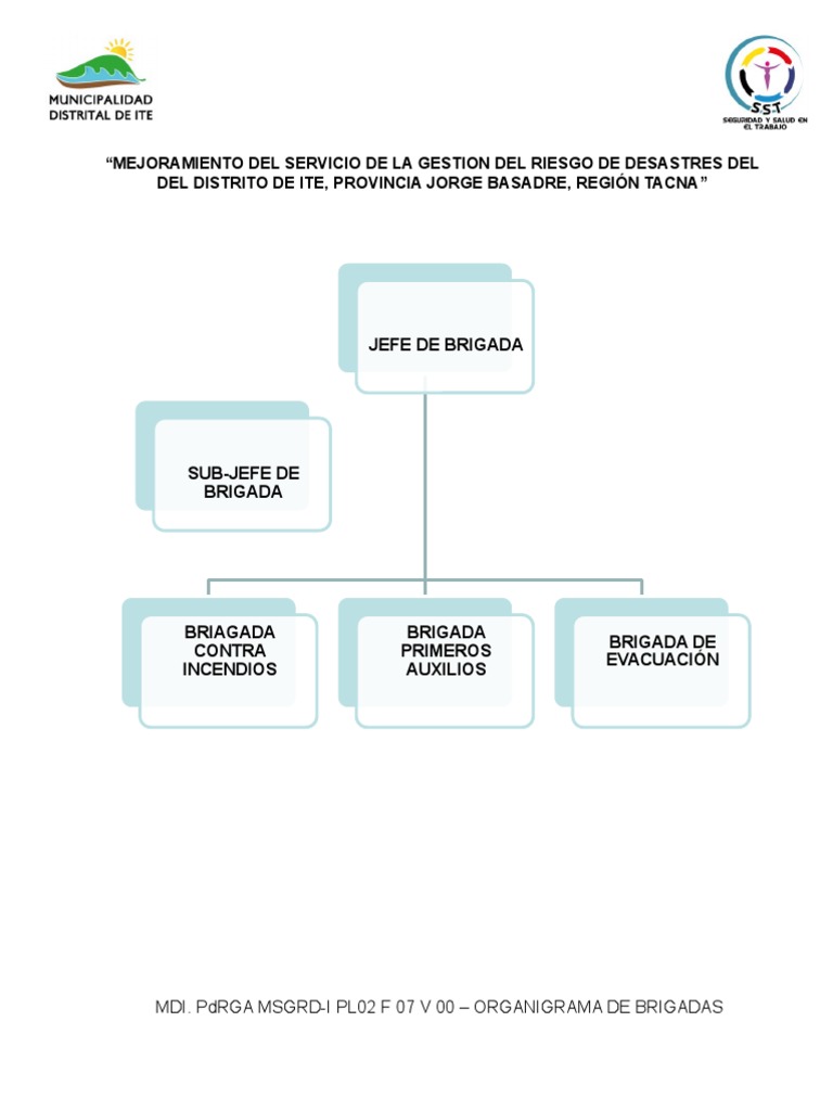 8.MDI PdRGA MSGRD - I PL 02 F07 V00 - Organigrama de Brigadas | PDF