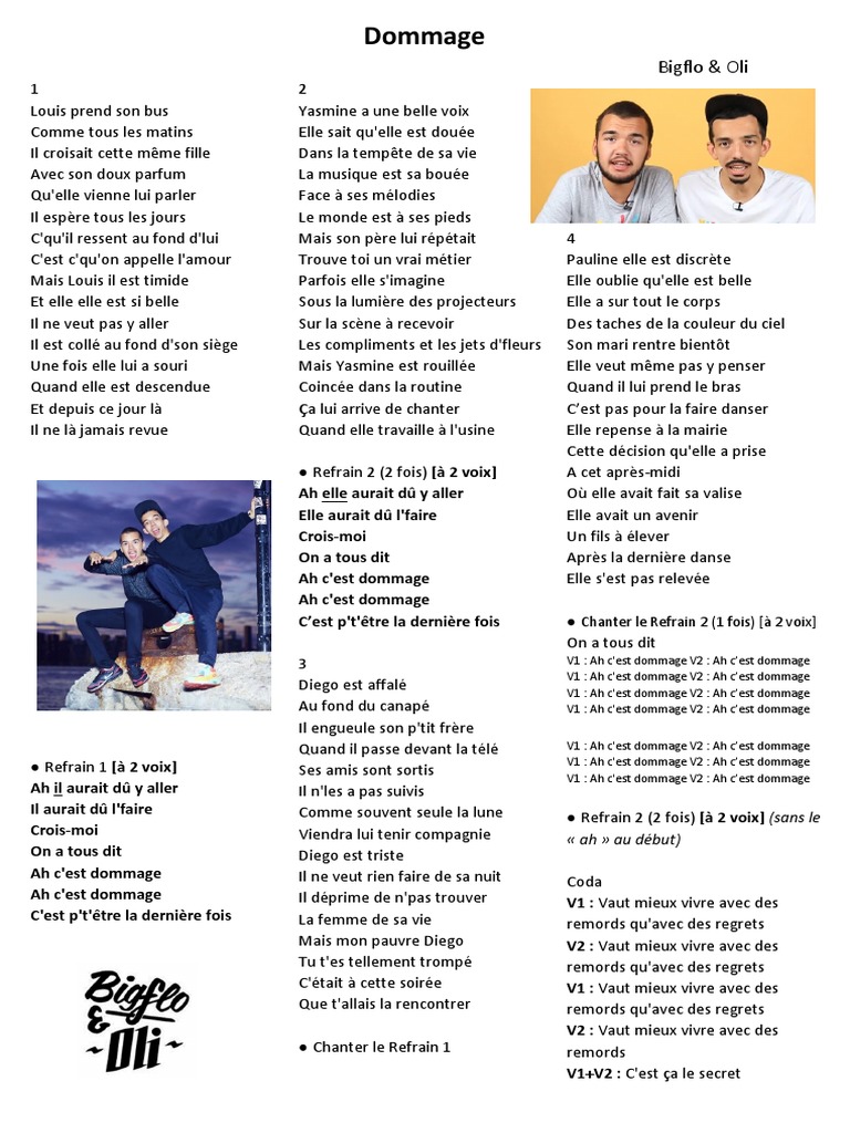 Dommage Bigflo Oli | PDF