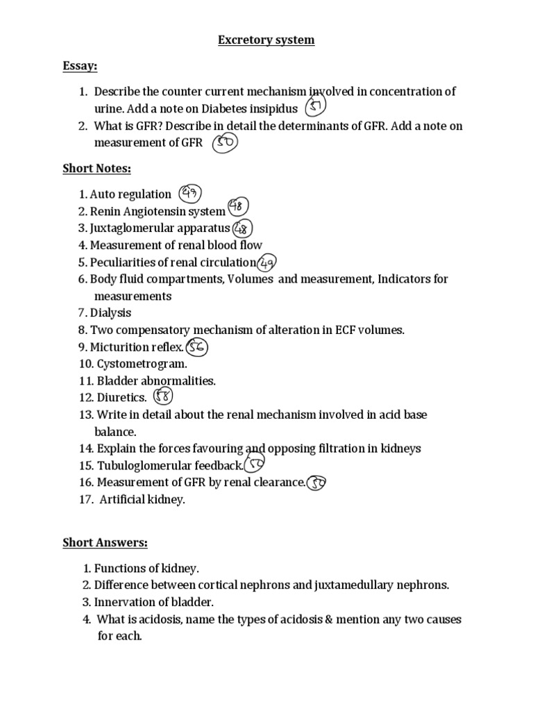 Excretory System Essay | PDF